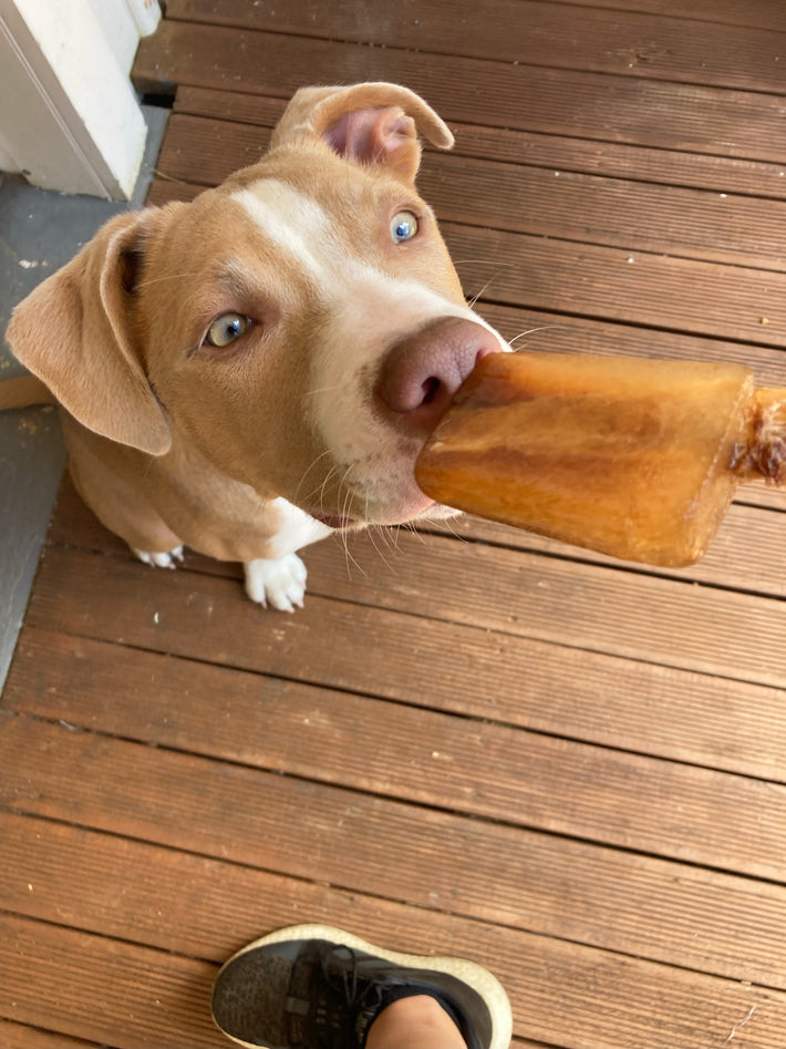 Pupsicles For Dogs – PupsiclesForDogs